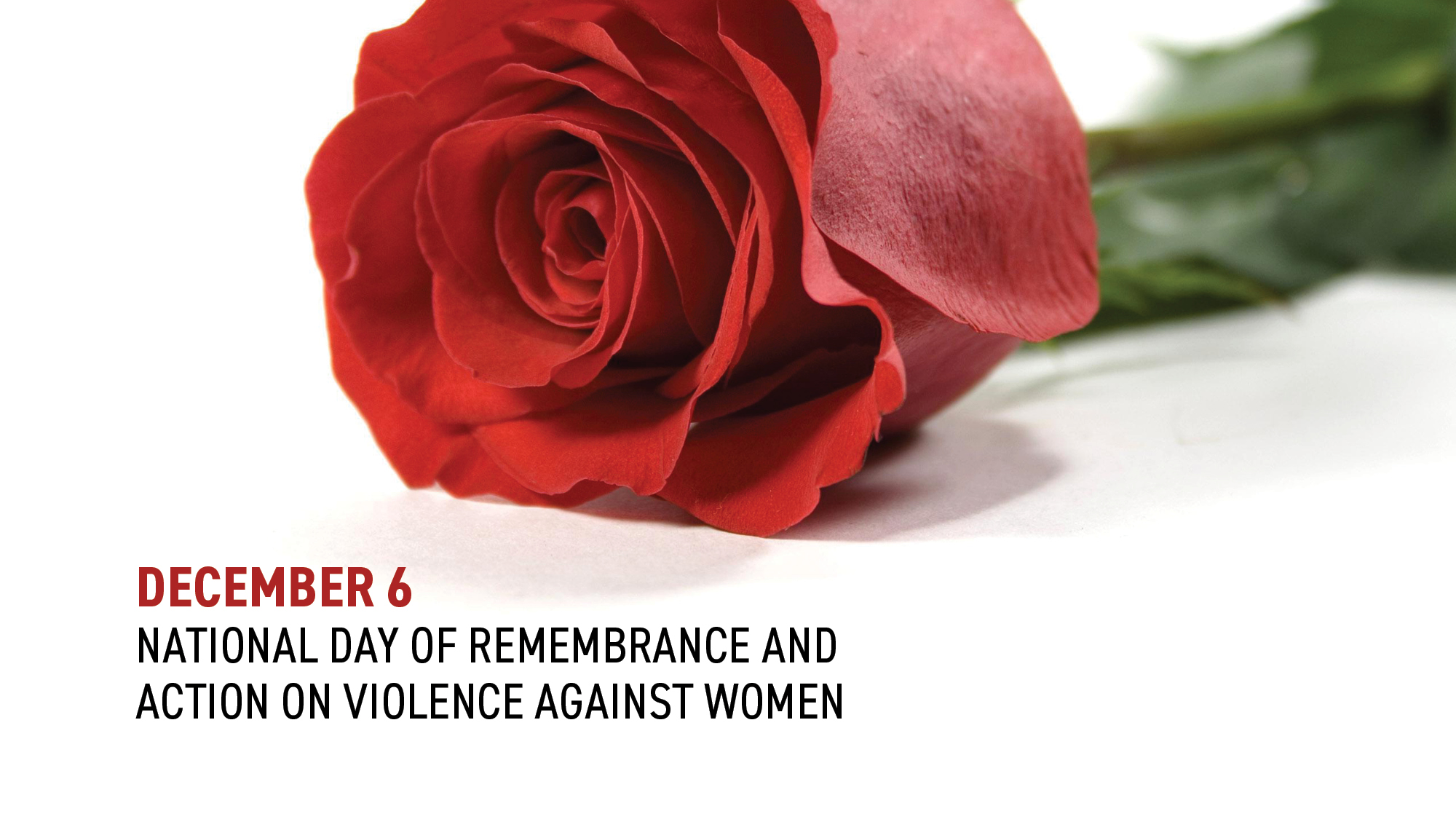 UNA marks National Day of Remembrance and Action on Violence Against ...